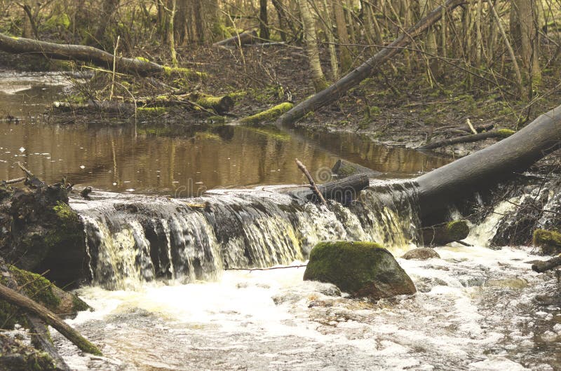 Stream dam in early spring stock image. Image of rocky - 88855119