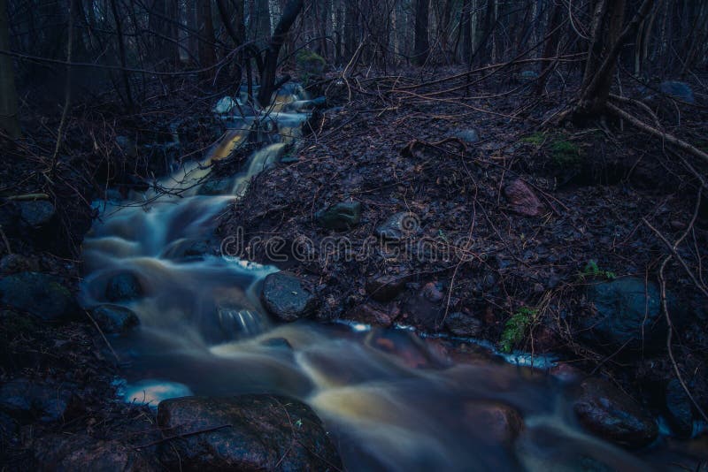 Stream in a Dark Autumn Forest Stock Photo - Image of glow, rain: 48983908