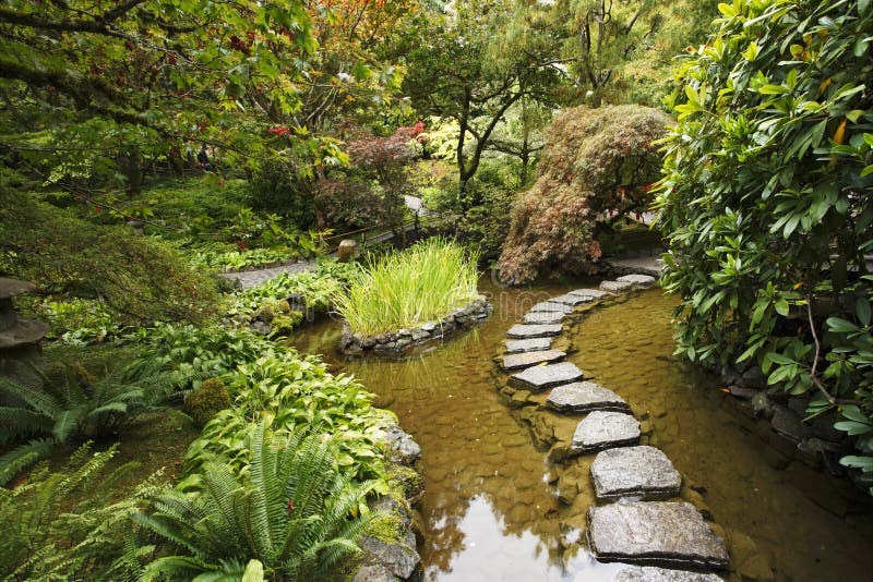 A Stream and a Decorative Path from Stones Stock Photo - Image of pond ...