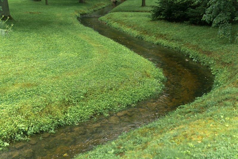 Stream in Drainage Channel in the Park, Which Flows through the Grass ...