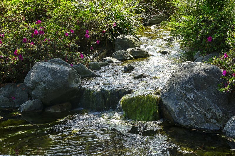 A stream for Dreams stock image. Image of good, stream - 174615307