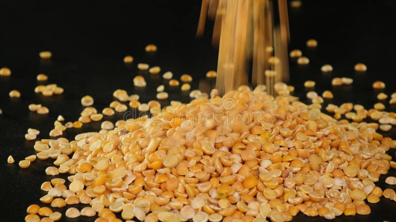 Stream of Dried Yellow Peas Moving Down on Table Stock Footage - Video ...