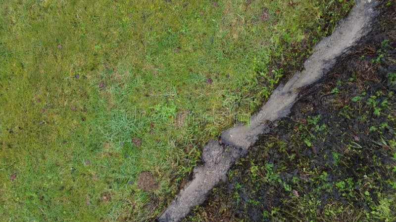 Stream at the Edge of the Forest As an Aerial View in the Forest Stock ...