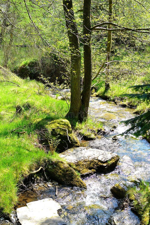 Stream in English Countryside Stock Photo - Image of river, stones ...