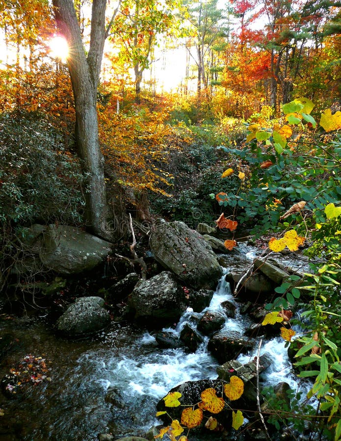 Stream in the fall stock image. Image of trees, bright - 16629641