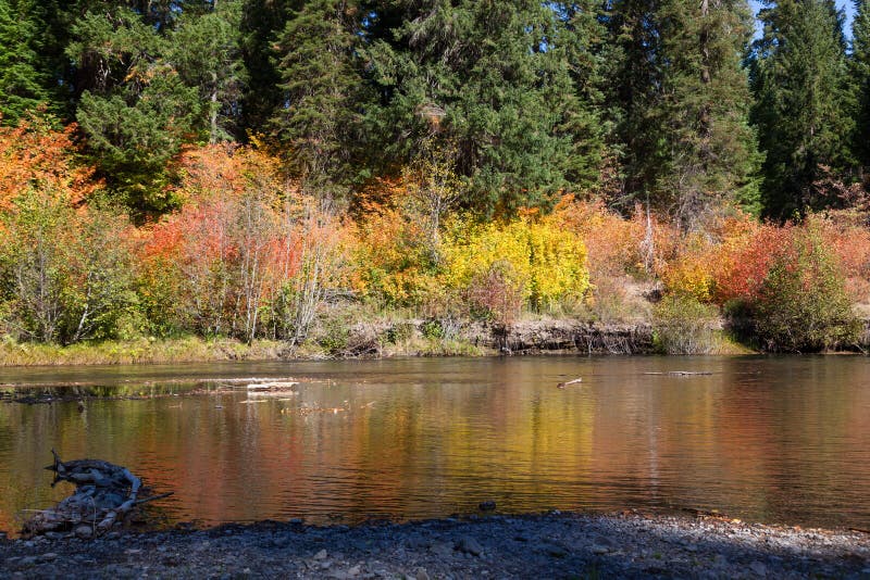 Stream with Fall Foliage stock photo. Image of mountains - 96849176