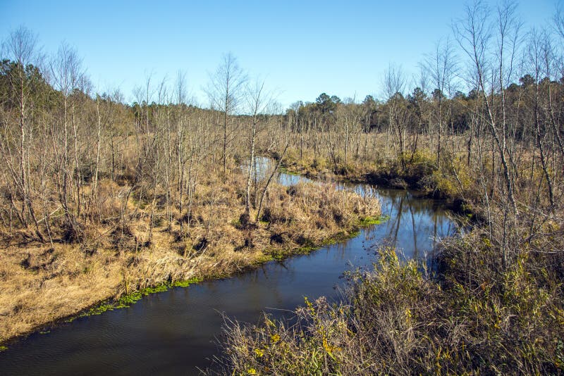 A Stream in the Fall in Georgia Stock Image - Image of scenery, rural ...