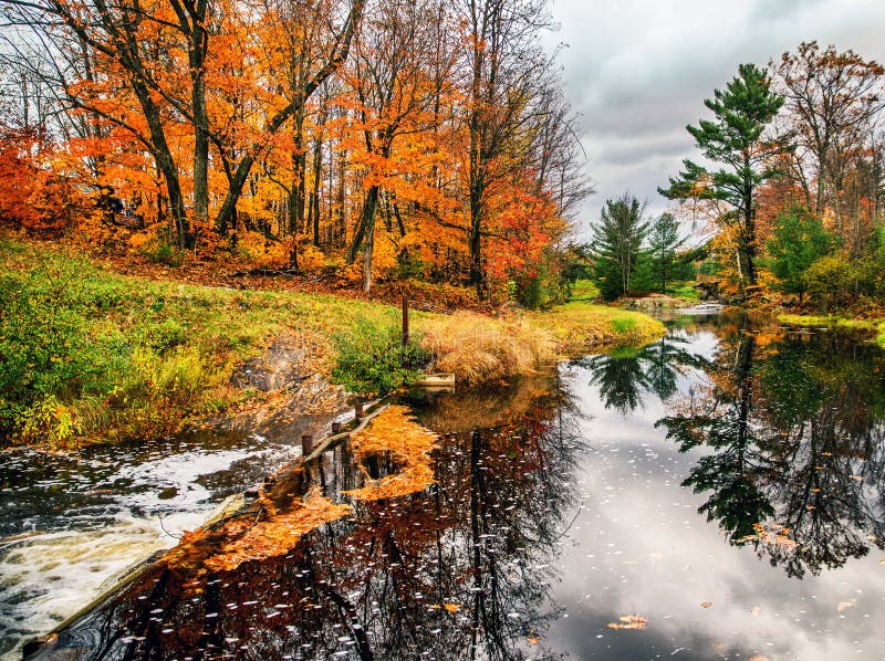 Stream in the Fall stock image. Image of foliage, morning - 44038775