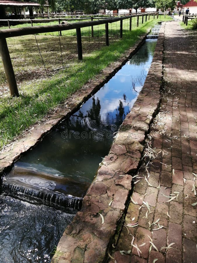 Stream at the farm stock photo. Image of tree, waterway - 218156584