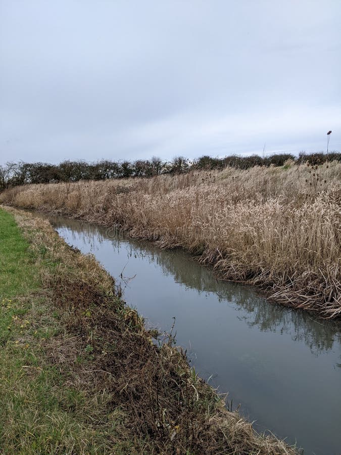 Stream in Farm in the Middle of Nowhere Stock Photo - Image of field ...