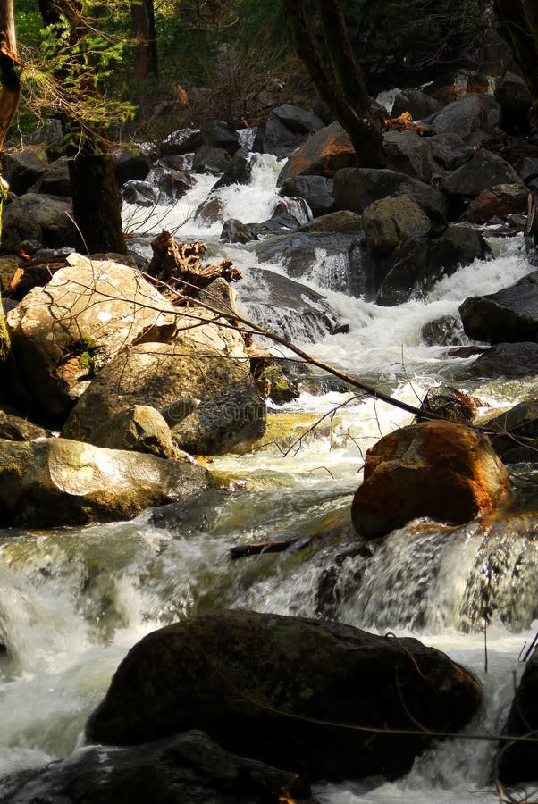 Stream, Fast Moving stock photo. Image of park, pool - 258987050