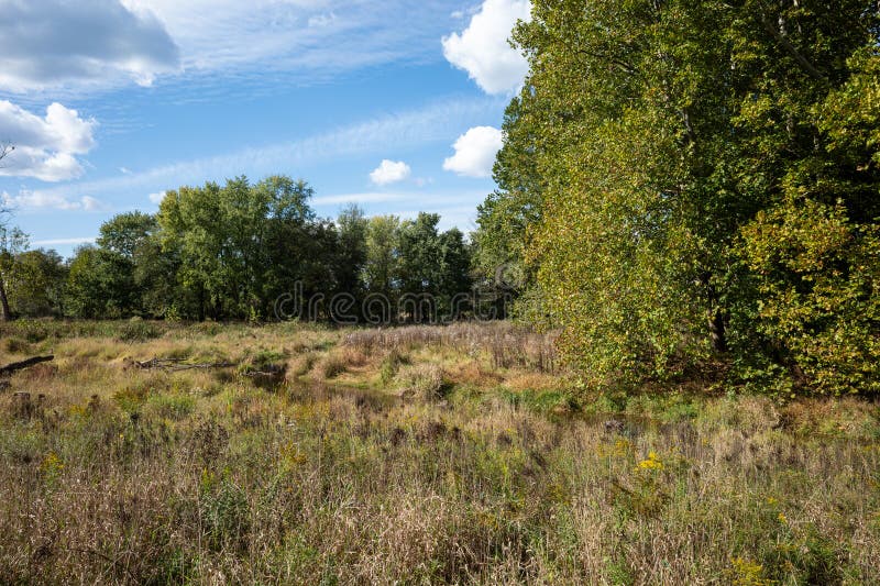 Stream, Floodplain and Wetland Restoration Along a Small Stream. Stock ...