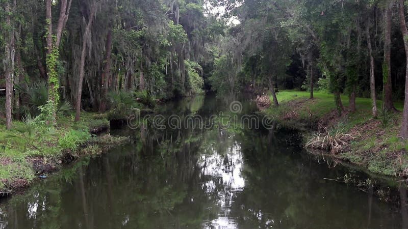 Light Drizzle Rain. Looping. You Can Use Any Channel As Alpha, or Use ...