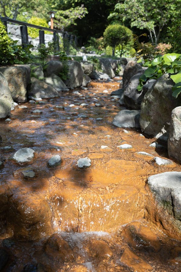 The Stream Flow through Forest or Natural Outdoor Park Stock Image ...