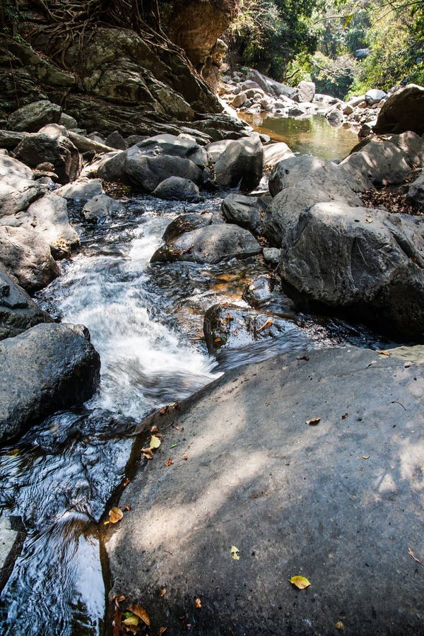 Stream stock photo. Image of woods, cascade, rill, wood - 38123004