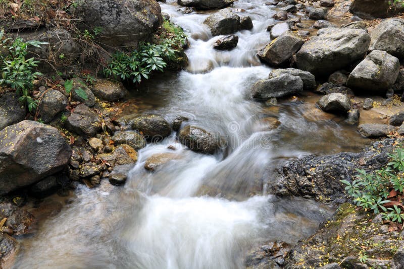 Stream flowing stock photo. Image of water, peaceful - 18828086