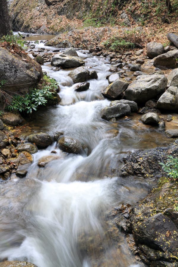 Water Flow (stream) among the Stones Stock Image - Image of clean ...