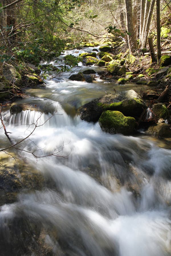 Stream Flowing stock image. Image of natural, flowing - 25973811