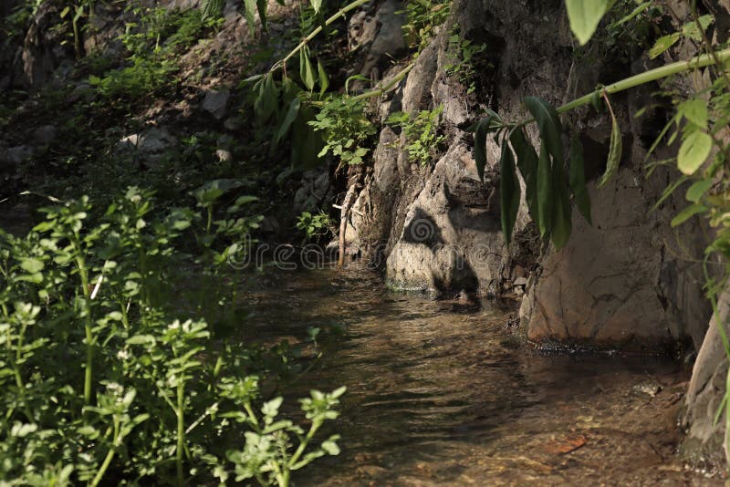 A Stream Flowing Around a Rock Stock Image - Image of green, clear ...
