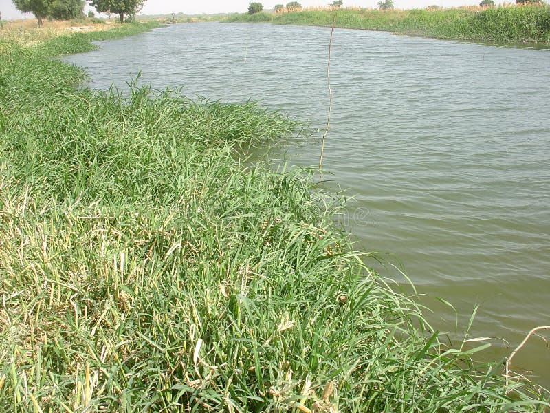Stream stock photo. Image of farmer, farm, body, rainfall - 49272514