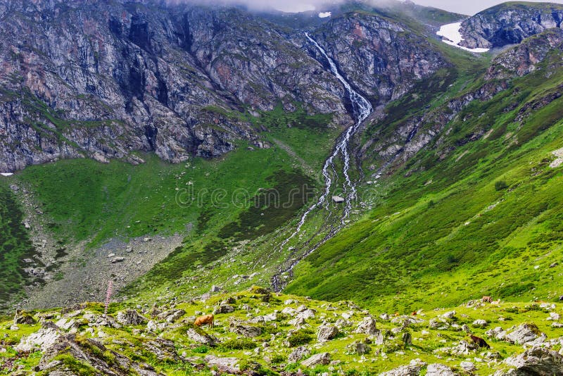 Stream Flowing Down the Side of a Mountain Stock Photo - Image of ...