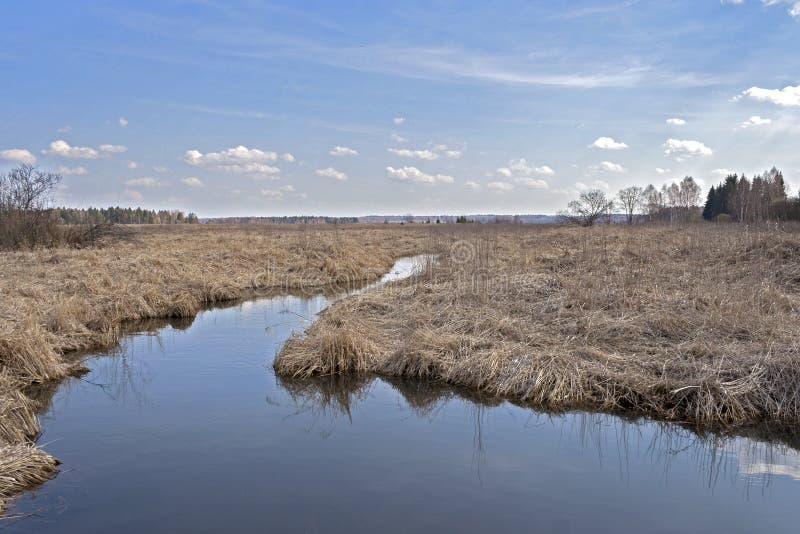 Stream in dry flat land stock photo. Image of creek - 113949640