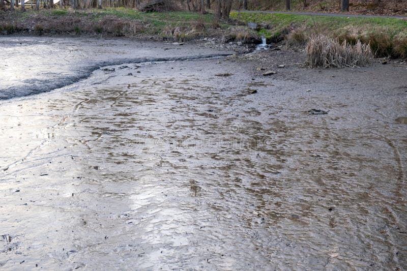 Stream Flowing Empty Pond Bed Stock Photos - Free & Royalty-Free Stock ...