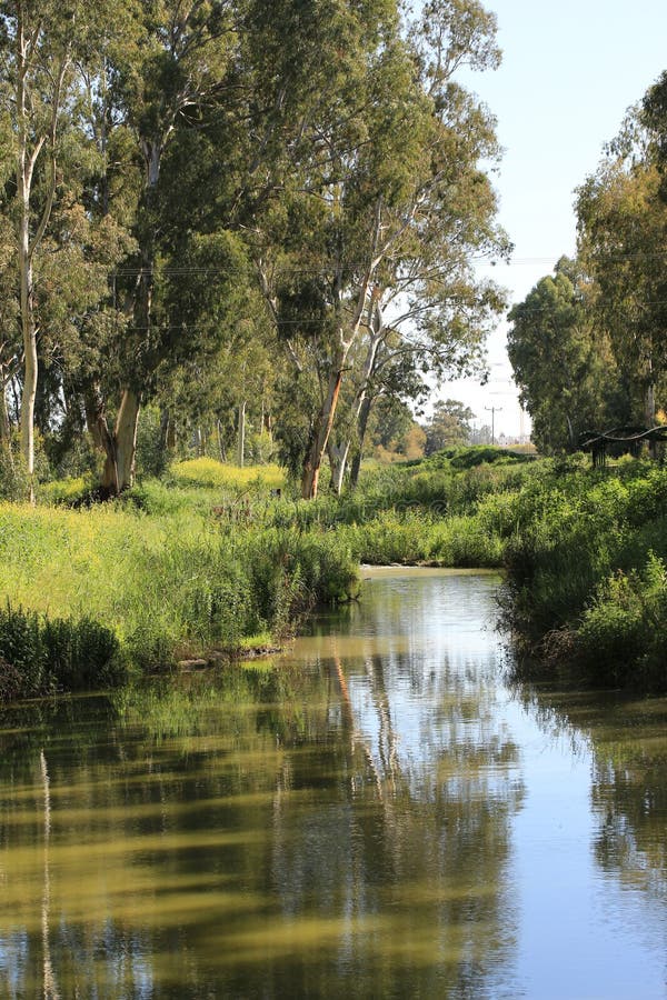 Spring Landscape with Approaching Sunset Stock Photo - Image of outside ...