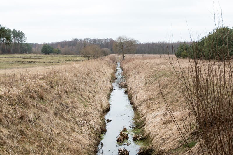 The stream flowing stock photo. Image of scene, plant - 68271102