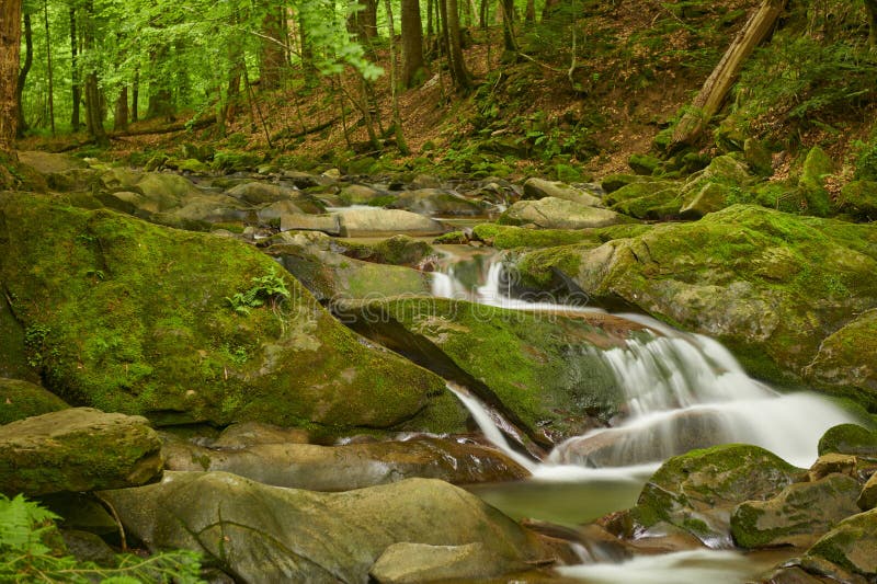 Stream Flowing through Forest Cascades Down Rocks Stock Photo - Image ...