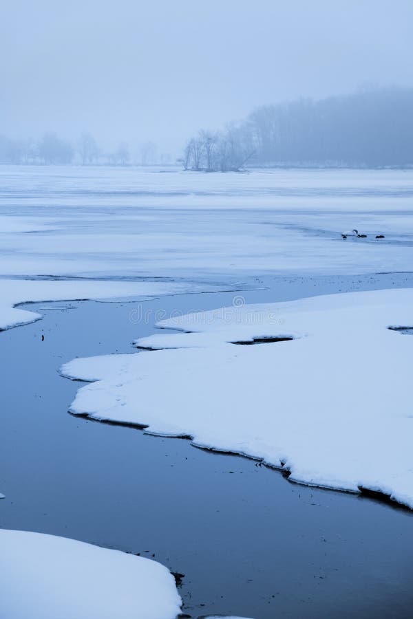 Stream Flowing through Frozen Lake Stock Photo - Image of cold, plants ...