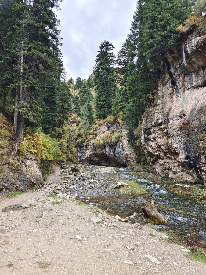 Creek stock photo. Image of forest, stream, cliff, ridge - 270536502