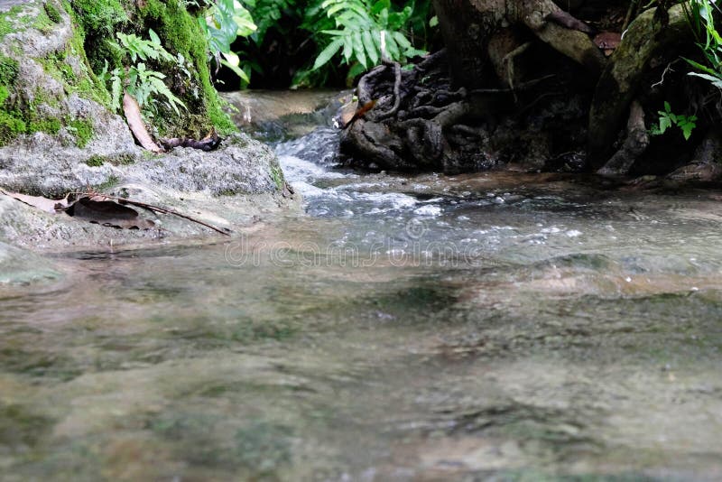 Stream Flowing in Nature with Rocks and Moss on the Side Stock Photo ...