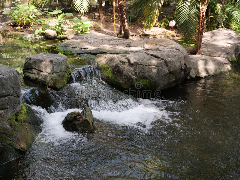 A Stream Flowing Over a Ledge of Rocks Stock Photo - Image of pond ...