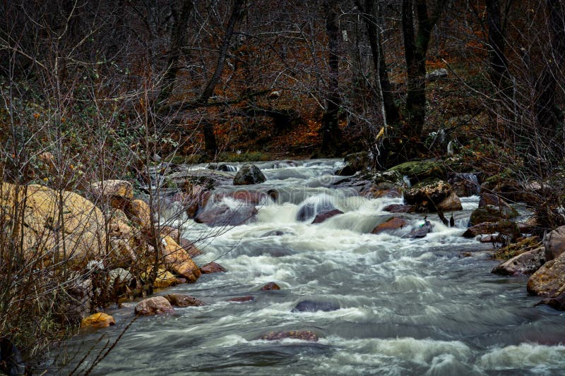 Incessant Whisper Stock Photos - Free & Royalty-Free Stock Photos from Dreamstime