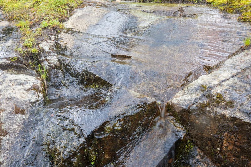Stream Flowing on the Rock in Mount Rainier National Park in Washington ...
