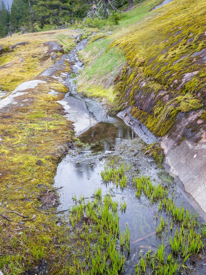Stream Flowing on the Rock in Mount Rainier National Park in Washington ...