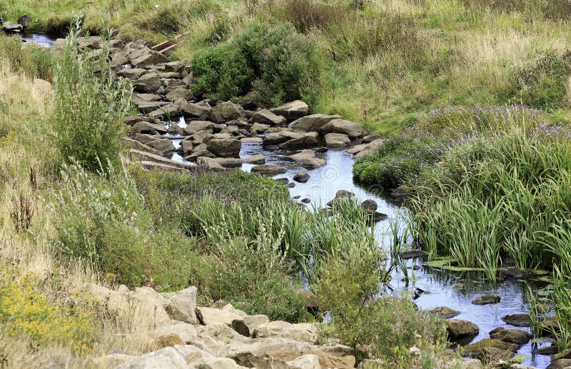 Stream Flowing through Rocks Stock Image - Image of reed, banks: 46299143
