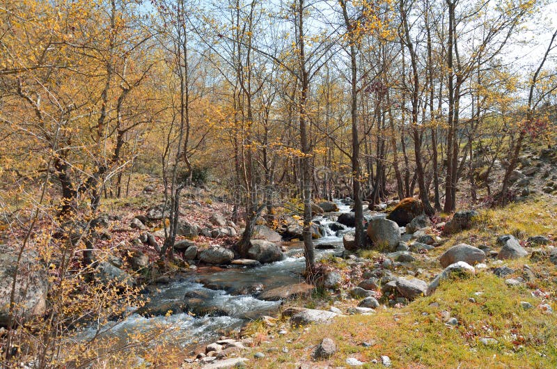Stream Flowing through Rocks Stock Photo - Image of water, scene: 75869242