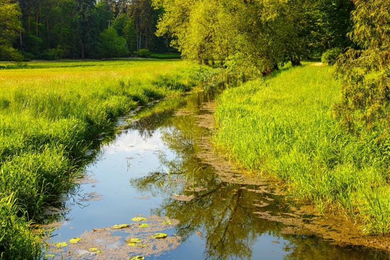 Flowing spring stock photo. Image of stream, onsen, background - 37239918