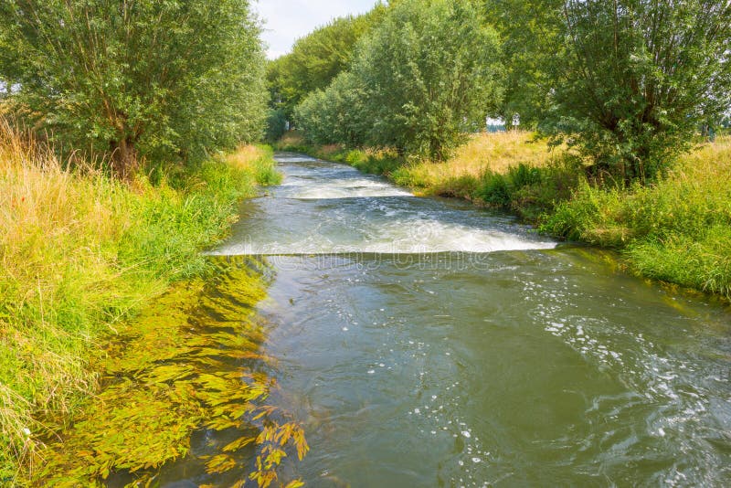Stream Flowing through a Tree Lined Field in Sunlight Stock Image ...
