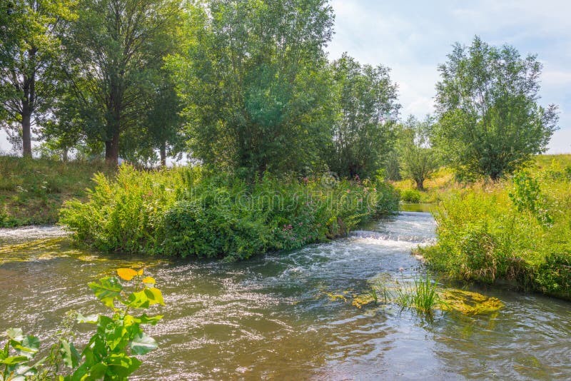 Stream Flowing through a Tree Lined Field in Sunlight Stock Photo ...