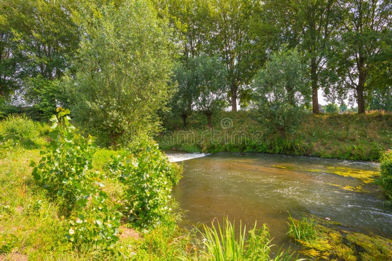 Stream Flowing through a Tree Lined Field in Sunlight Stock Image ...