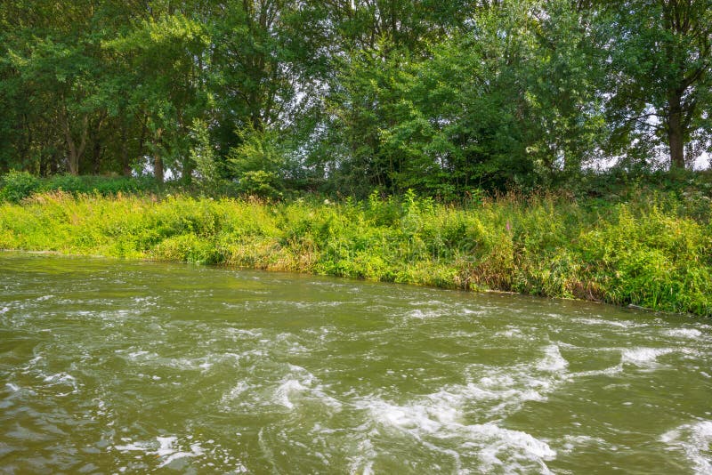 Stream Flowing through a Tree Lined Field in Sunlight Stock Image ...