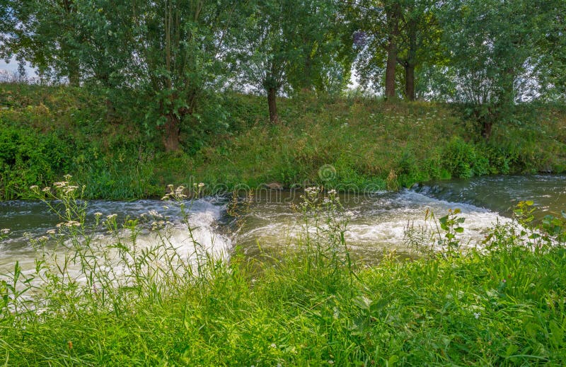 Stream Flowing through a Tree Lined Field in Sunlight Stock Photo ...