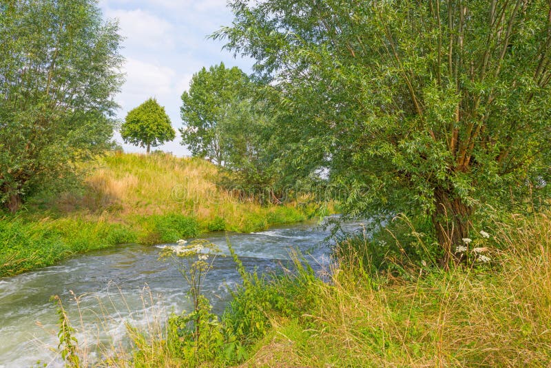Stream Flowing through a Tree Lined Field in Sunlight Stock Photo ...