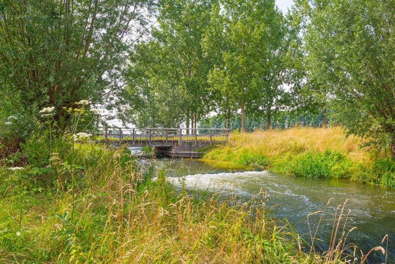 Stream Flowing through a Tree Lined Field in Sunlight Stock Image ...