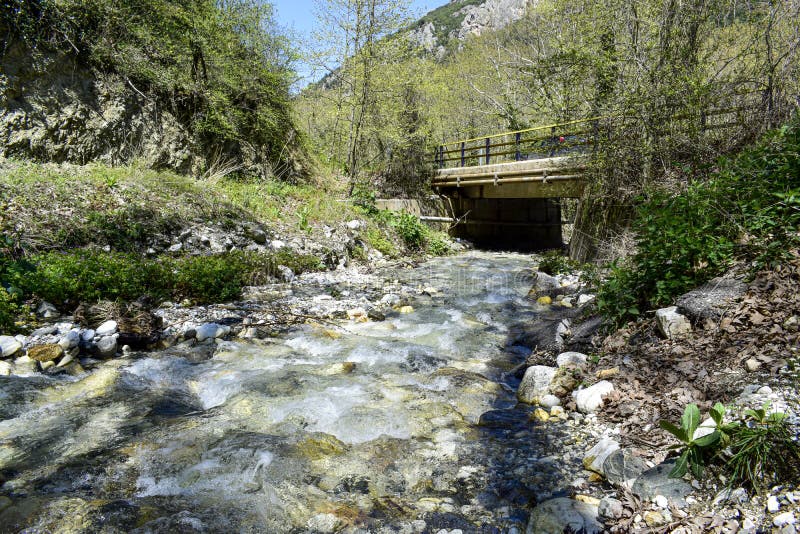 A Stream Flowing Under the Bridge Stock Photo - Image of trees, nice ...