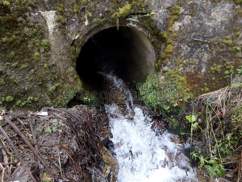 Flowing Water through Pipe in the Forest Stock Photo - Image of nature ...