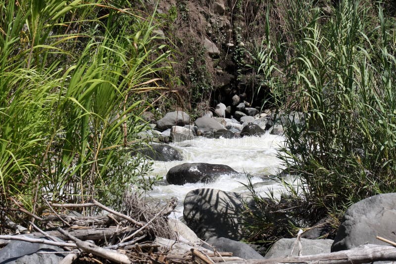 Stream Flowing through a Valley in Ecuador Stock Image - Image of ...